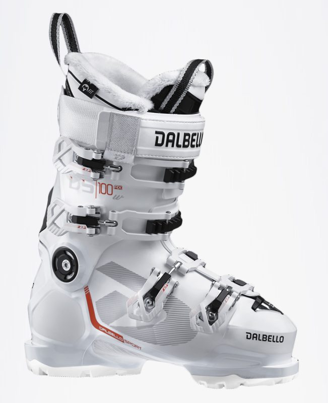 Pancerice - Dalbello pancerice - Roces pancerice